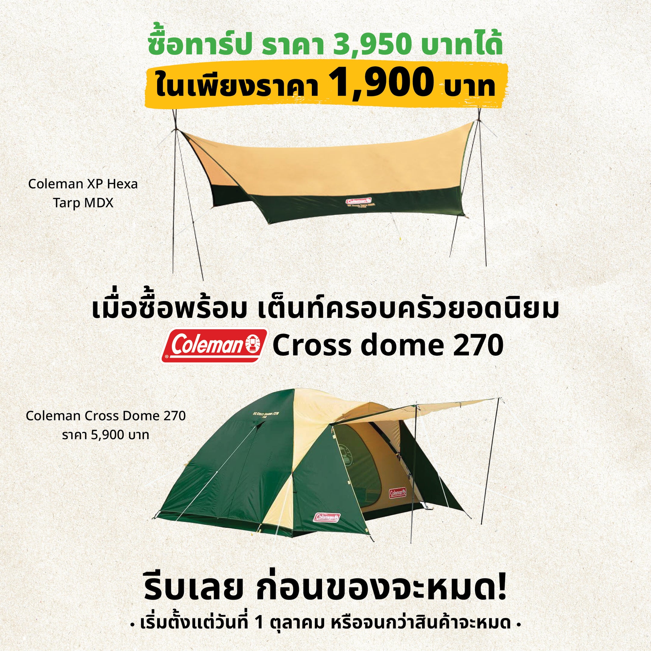 Coleman JP Cross Dome 270 38429 — Thailandoutdoorshop